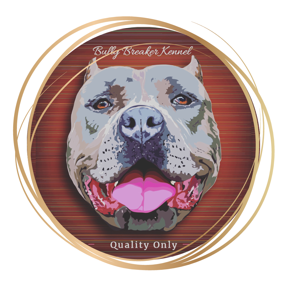 Texas Bully Dog Kennel